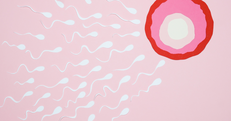 Ovulation Phase Meaning & How To Know You're In It - Hollye Makes a Home